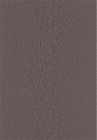 KD TRUE+ Panels Archives - Keding